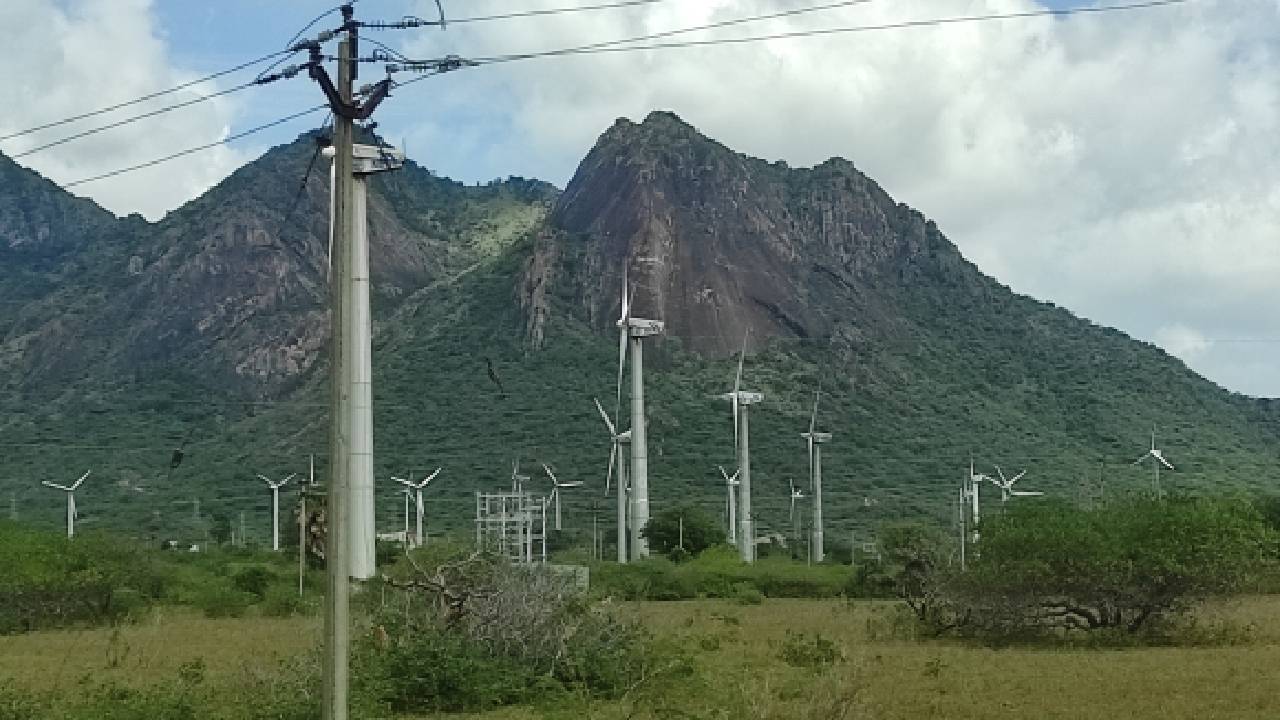 A wind farm in the Muppandal region of Kanyakumari district, Tamil Nadu